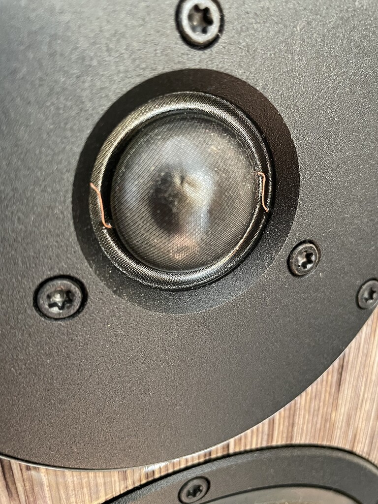 Tweeter cone damage - Hi-Fi Corner - Naim Audio - Community