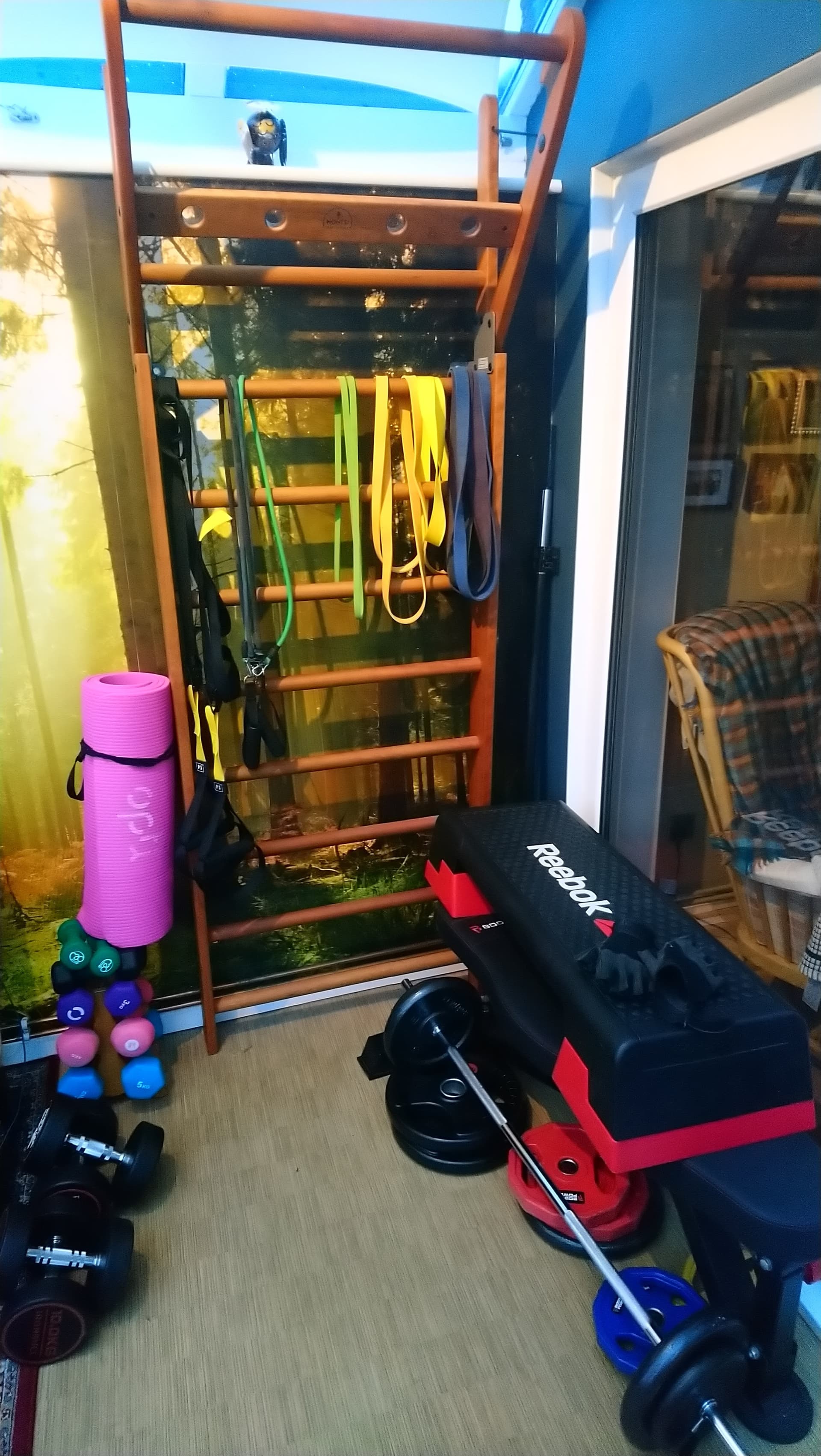 Home gym ideas - show us yours - Lounge - Naim Audio - Community