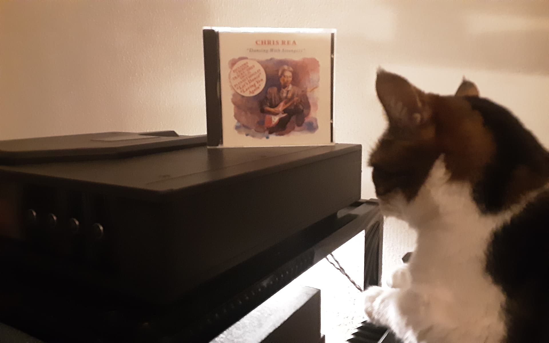 What are you listening to in 2024 and why might anyone be interested ...